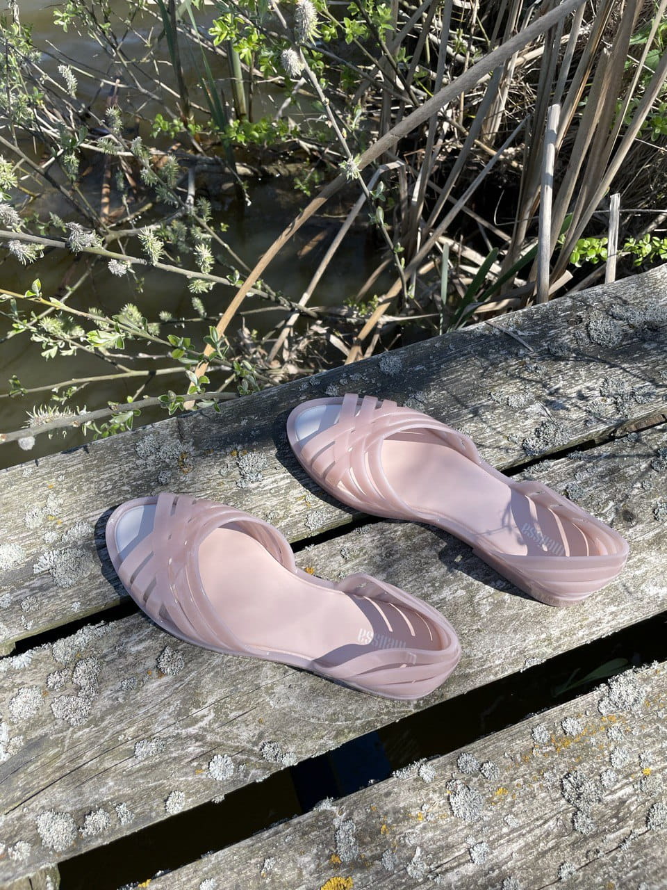 Melissa Flora | SALE | SHU LUV MELISSA & MORE